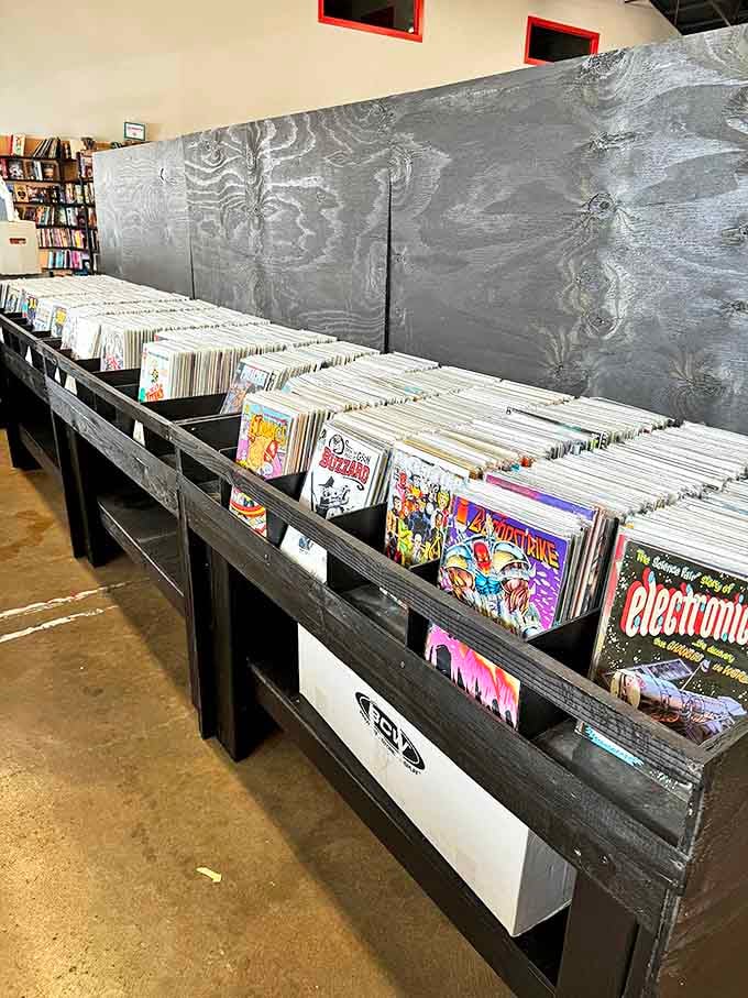 Comic book heaven awaits collectors and casual readers alike, with organized bins that make finding issue #42 of your childhood favorite actually possible.