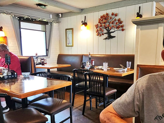 Booths designed by someone who understands that comfort is the ultimate luxury. That tree artwork says, "We're homey, not fancy, and proud of it."