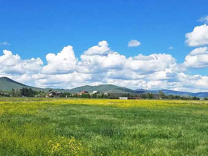 Beyond the lake lies Montana's endless horizon. Where wildflowers and mountains conspire to make even amateur photographers look professional.