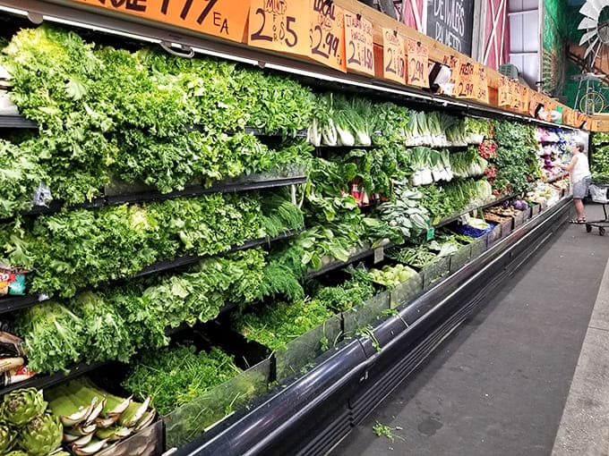 Leafy greens so vibrant they make ordinary lettuce look like it needs a multivitamin. Garden-fresh without the gardening.