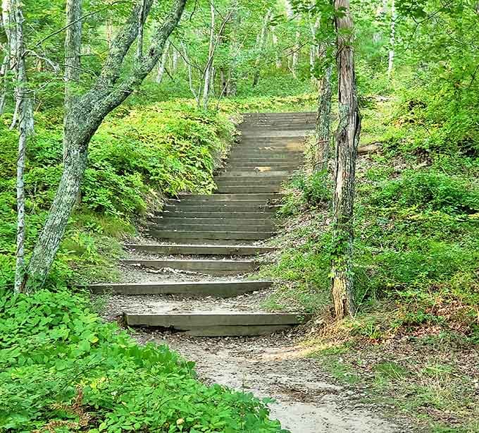 These rustic steps invite exploration, promising something wonderful at the top. The journey up is half the fun&mdash;the other half is not being winded when you arrive.