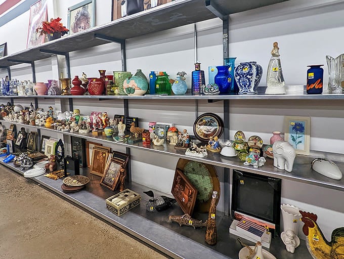 The home decor aisle – a museum where everything has a price tag and nothing requires white gloves to handle.