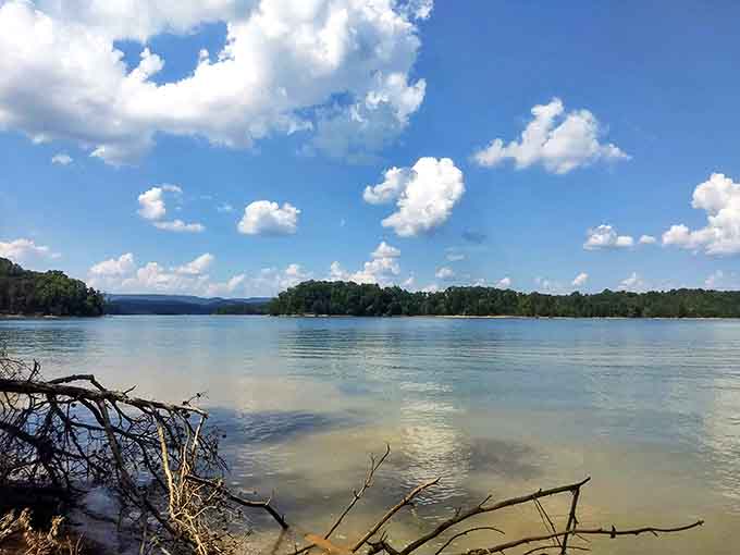 Cloud reflections creating a perfect mirror image. The kind of serenity that makes you forget your password troubles and unanswered emails.