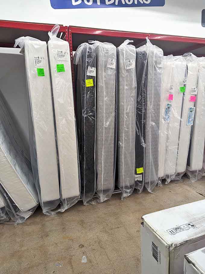 Mattresses lined up like sleeping sentinels &ndash; because a good night's rest shouldn't cost you a month's salary.