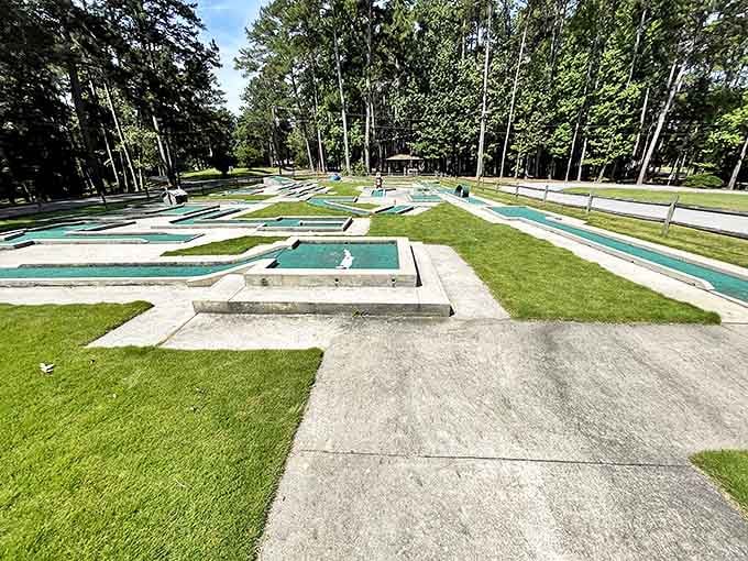 Mini-golf at the state park: where family rivalries are born, and dad's putting skills are revealed to be greatly exaggerated.