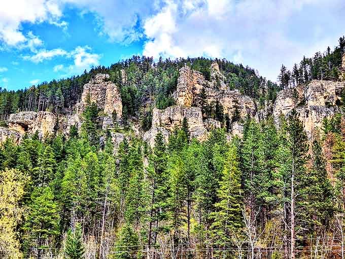 Limestone cliffs stand like ancient sentinels guarding the canyon's secrets. They've seen dinosaurs come and go, yet still look remarkably good for their age.