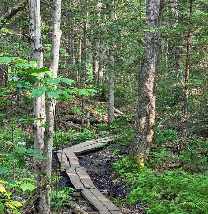 This trail network makes choosing your own adventure feel less like a clich&eacute; and more like good planning.