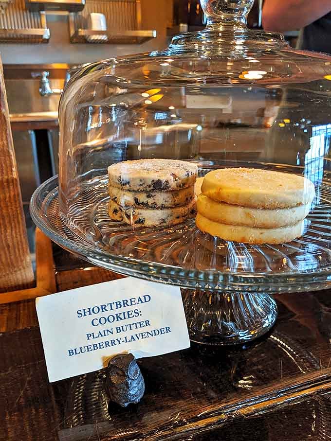Shortbread cookies under glass&mdash;like edible bookmarks waiting to accompany you through your literary journey.