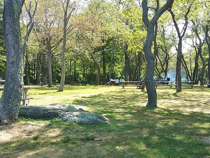 Nature's dining room comes with the best ambiance money can't buy. No reservation needed, but arriving early for sunset seating is recommended.