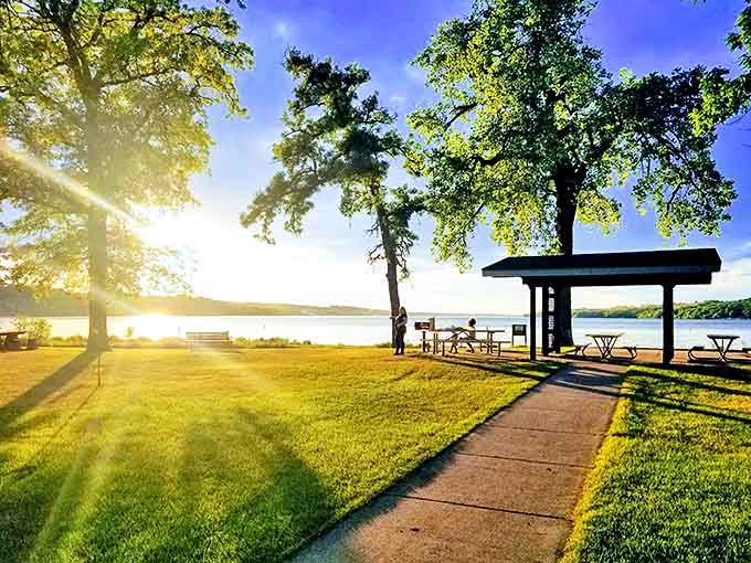 Golden hour perfection: when sunlight, trees, and picnic shelters combine to create moments that no filter could possibly improve.