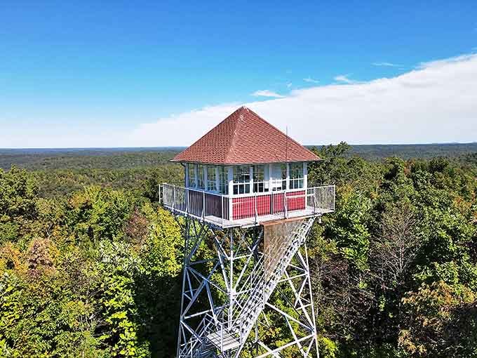 Pinnacle Knob Fire Tower stands like a sentinel above the forest canopy. The climb rewards you with views that make your Instagram followers genuinely jealous.
