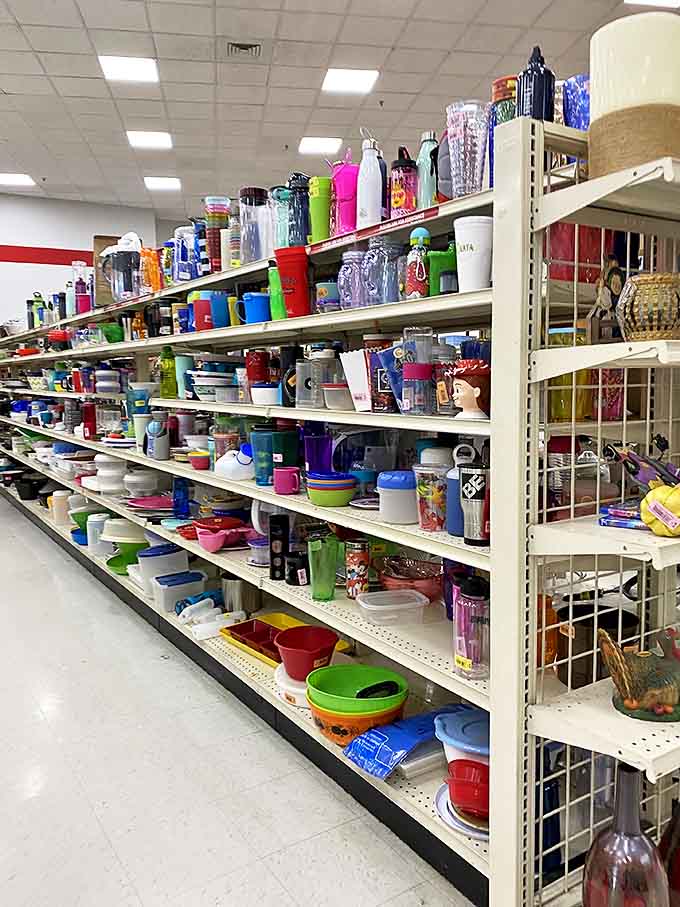 The water bottle and tumbler collection alone could hydrate a small nation &ndash; a colorful plastic army of vessels standing at attention.