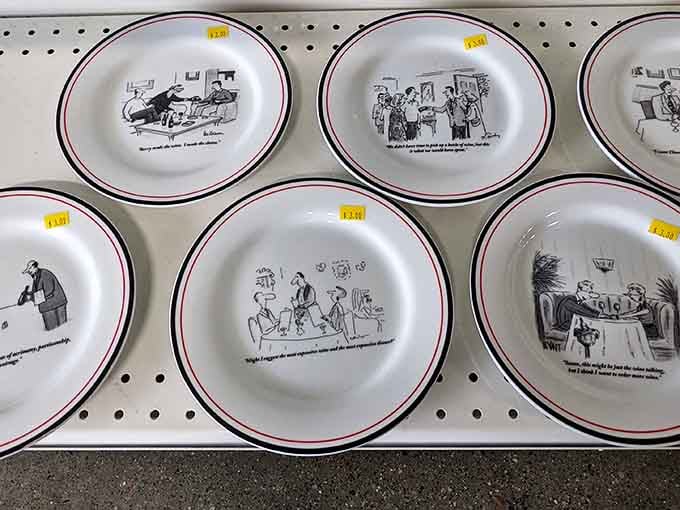 Whimsical cartoon plates with witty captions offer both dinnerware and dinner conversation for less than the price of a fancy coffee.