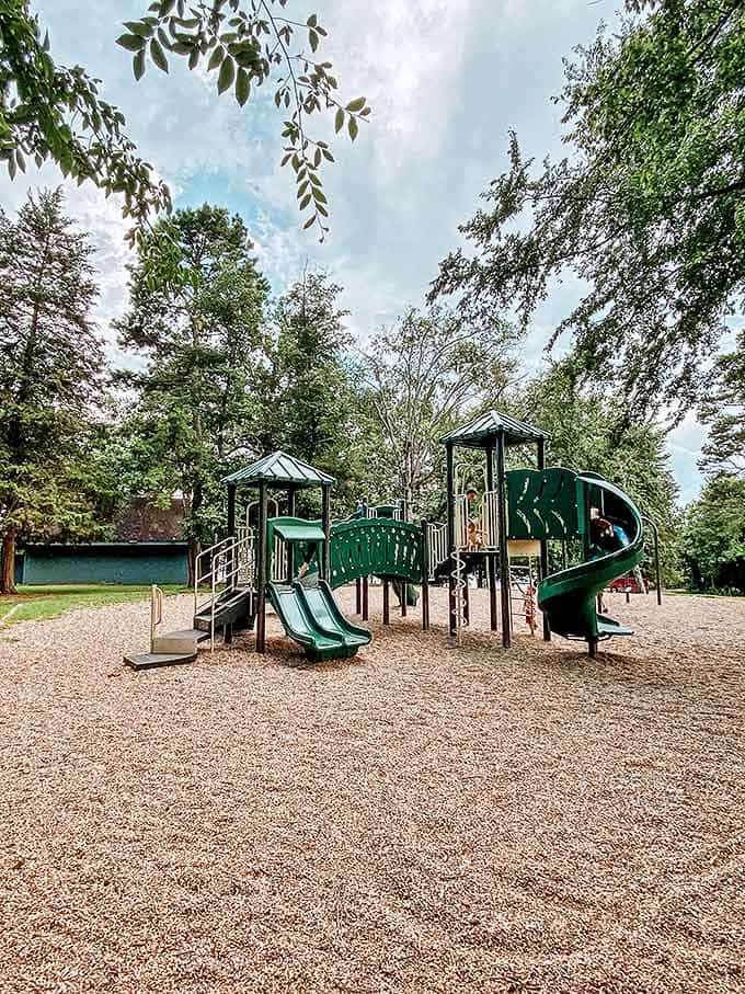 Playground physics: where children discover gravity is negotiable and parents rediscover muscles they forgot they had.