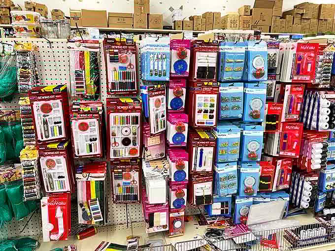Art supplies hang like the periodic table of creativity, each element promising masterpieces on a microbudget.
