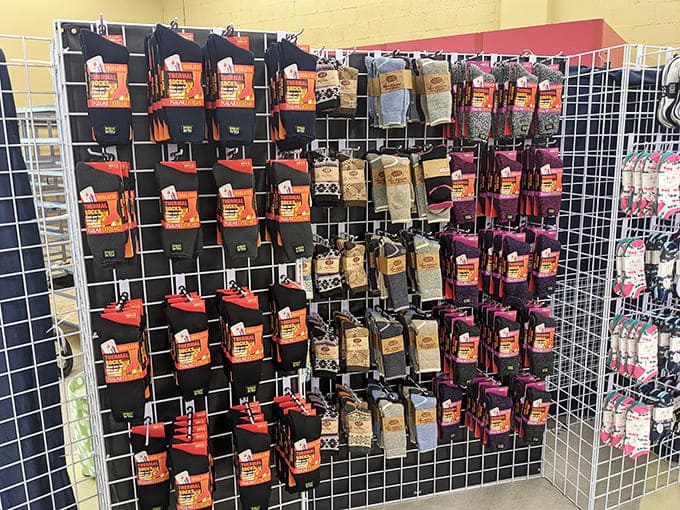 Sock heaven for the practical shopper. From business basics to wild patterns, your feet deserve options that don't break the bank.