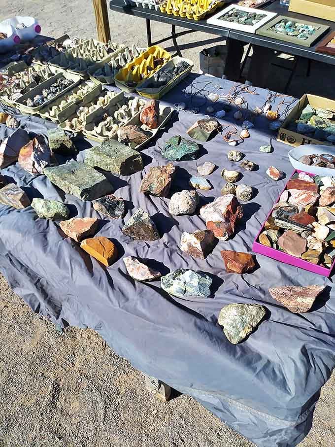 Nature's jewelry box spilled open &ndash; these mineral specimens and rough-cut stones attract collectors and the simply curious alike.