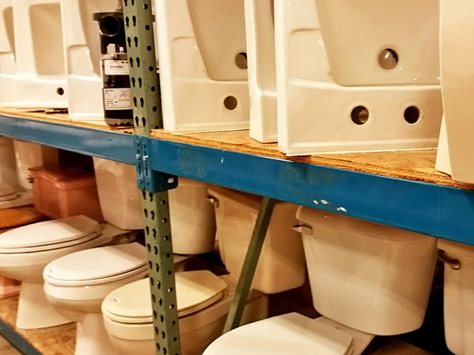 The toilet section: where you can find a throne fit for royalty, even if your kingdom is just a small bathroom in need of an upgrade.