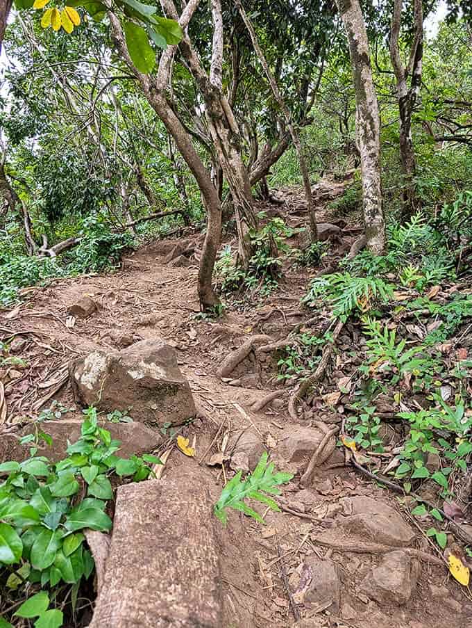 The path less traveled—and for good reason. This rugged trail demands respect but rewards hikers with increasingly spectacular views with every challenging step.