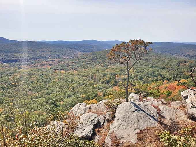Rocky outcroppings offer natural observation decks where you can contemplate life's big questions or just enjoy being wonderfully small.