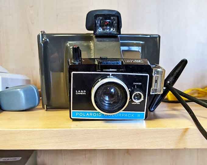 This vintage Polaroid camera isn't just a decoration&mdash;it's a conversation starter with stories yet to capture.