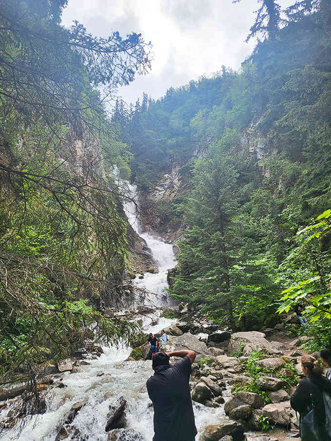 Reid Falls cascades through emerald forest like nature's own staircase, drawing photographers who brave slippery rocks for that perfect shot of wilderness in motion.