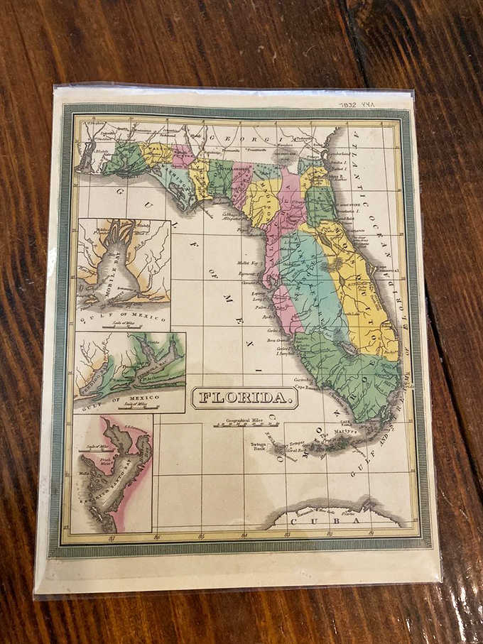 An antique Florida map from when the state was more alligators than theme parks. Geography lessons never looked this charming.