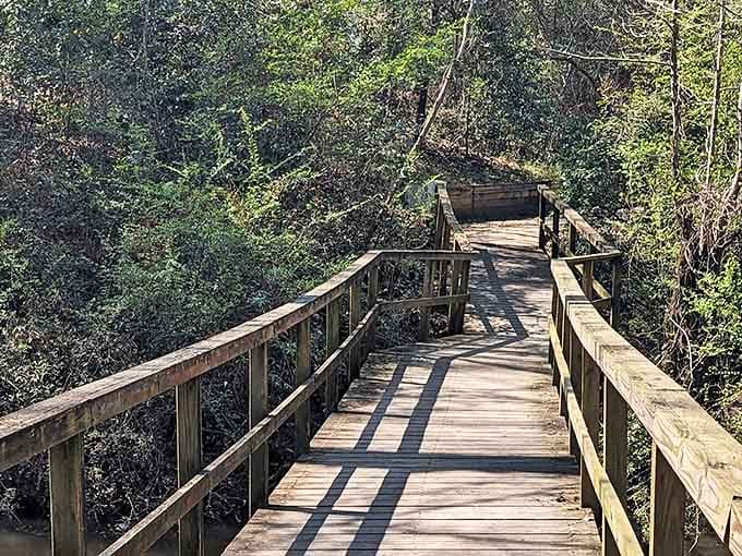 Big Indian Creek's wooden walkway meanders through dense forest like something from a fairy tale—minus the questionable wolves and witches.