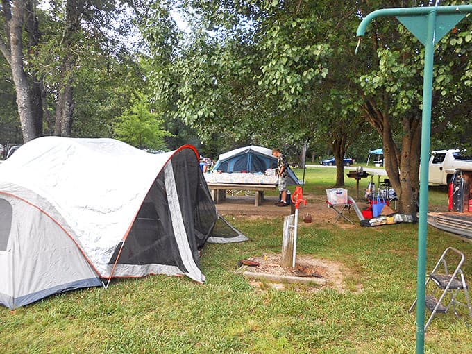 Tent camping as it should be&mdash;under leafy canopies with just enough amenities to keep civilization within reach but nature at center stage.