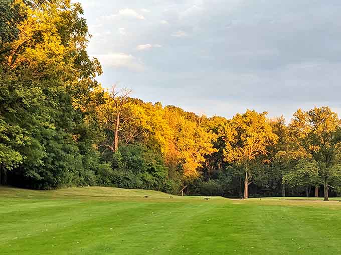 Harrison Park Golf Course's autumn splendor proves that affordable retirement doesn't mean sacrificing those golden moments on the links.