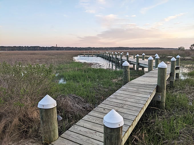 Wooden walkways wind through marshlands like nature's welcome mat. Dawn and dusk transform these boardwalks into front-row seats for the greatest show on earth.