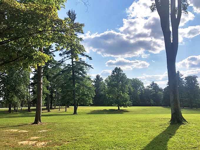 This sun-dappled clearing offers more peace than an hour of meditation. The trees stand guard like ancient sentinels of tranquility.
