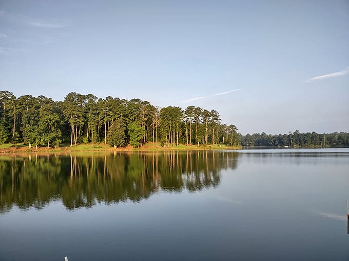 Pike County Lake's glass-like surface reflects towering pines, creating a peaceful sanctuary for anglers and nature lovers just minutes from downtown.
