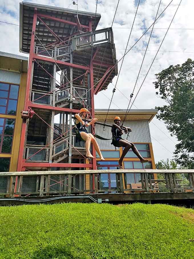 Adventure takes flight on Elk Neck's zipline&mdash;proving that sometimes the best views come with an adrenaline rush and safety harness.