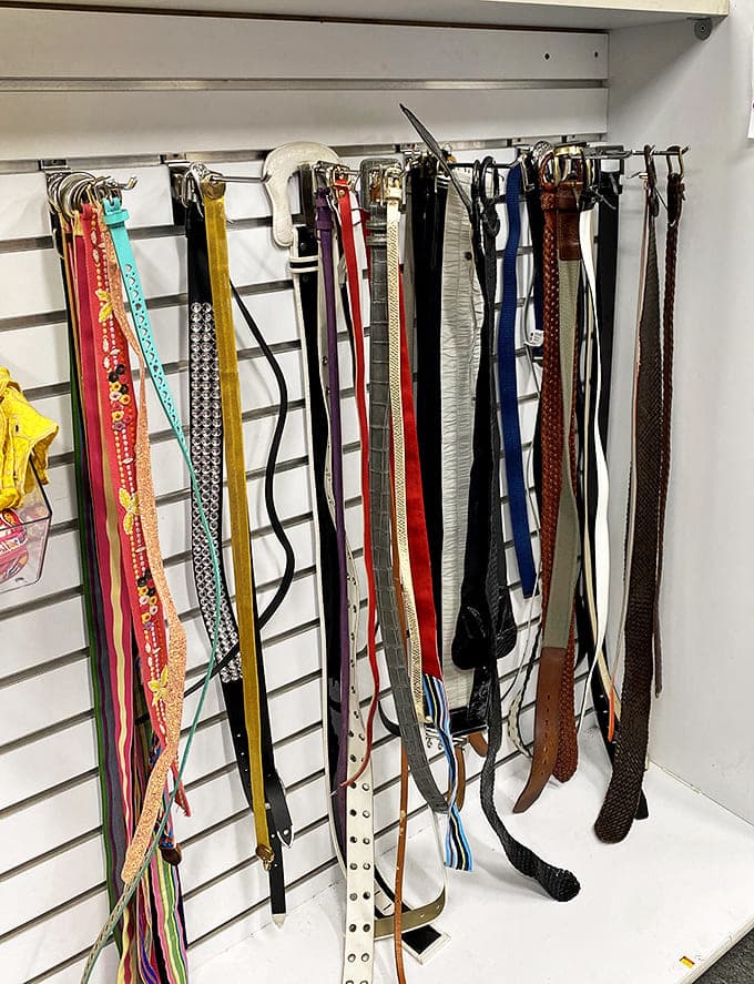 A rainbow coalition of belts dangling with possibility. That braided number could be holding up someone's wedding outfit by next weekend.