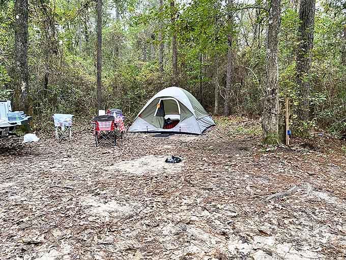Primitive camping spots offer a genuine back-to-nature experience. Just you, a tent, and enough pine needles to remind you you're not at home.