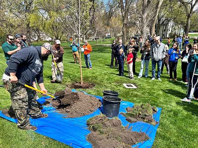 Community tree planting brings neighbors together in the universal hope that someone else will remember to water it come July.