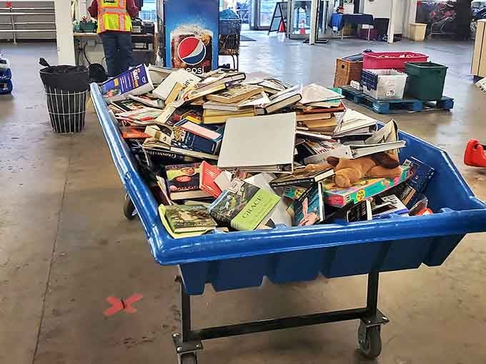 Literary treasures await the patient hunter. From bestsellers to obscure cookbooks, these pages hold adventures costing less than a coffee.