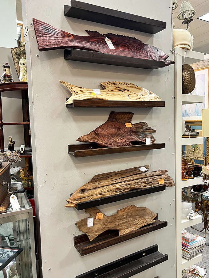 Driftwood transformed into wall art. Nature's sculptures finding second lives as conversation pieces in modern homes.