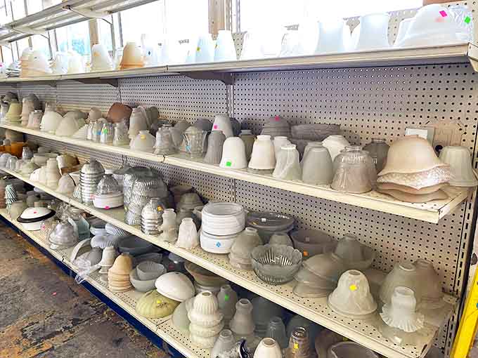 The glass shade graveyard &ndash; where lampshades of all shapes gather to reminisce about the lightbulbs they once knew.