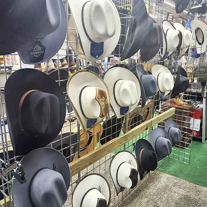 Hat heaven for the fashion-forward and sun-conscious alike. From cowboy classics to Sunday best, your next signature look awaits.
