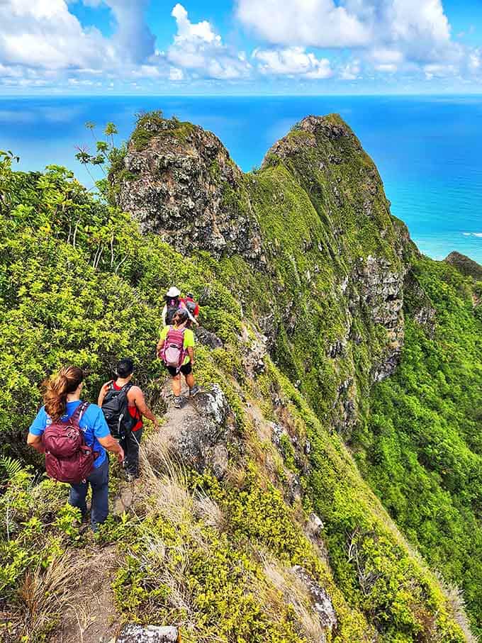 Living life on the edge, literally. These intrepid hikers navigate a ridge trail that separates the merely adventurous from the genuinely fearless.