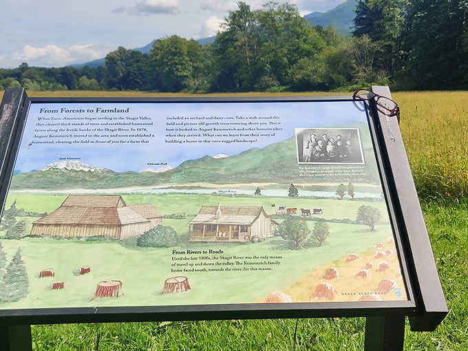 Historical markers that tell stories of the land when humans were just visitors, not residents. A reminder that we're all just passing through.
