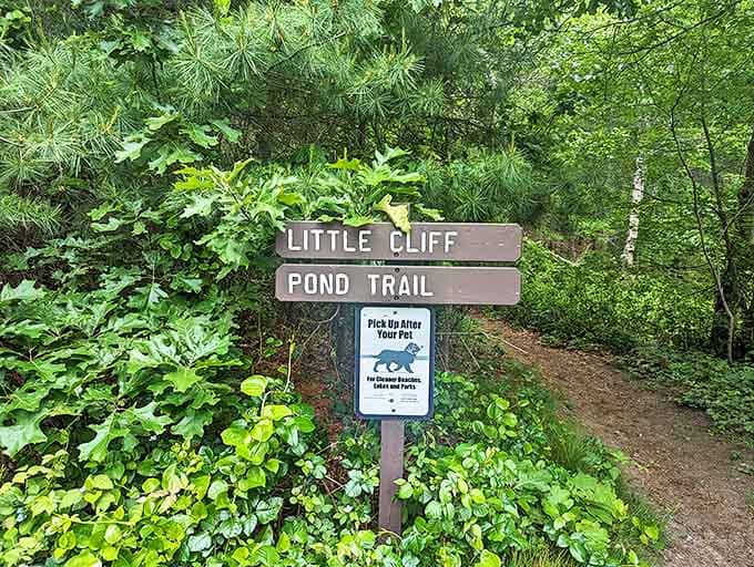 Trail markers keep adventures on track while still feeling wonderfully wild. The "pick up after your pet" reminder&mdash;civilization's gentle nudge in paradise.