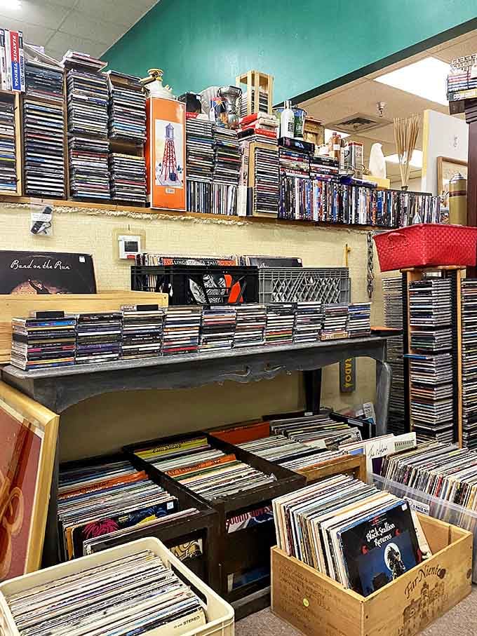 Vinyl paradise! Where music lovers can spend hours flipping through history, one album cover at a time.