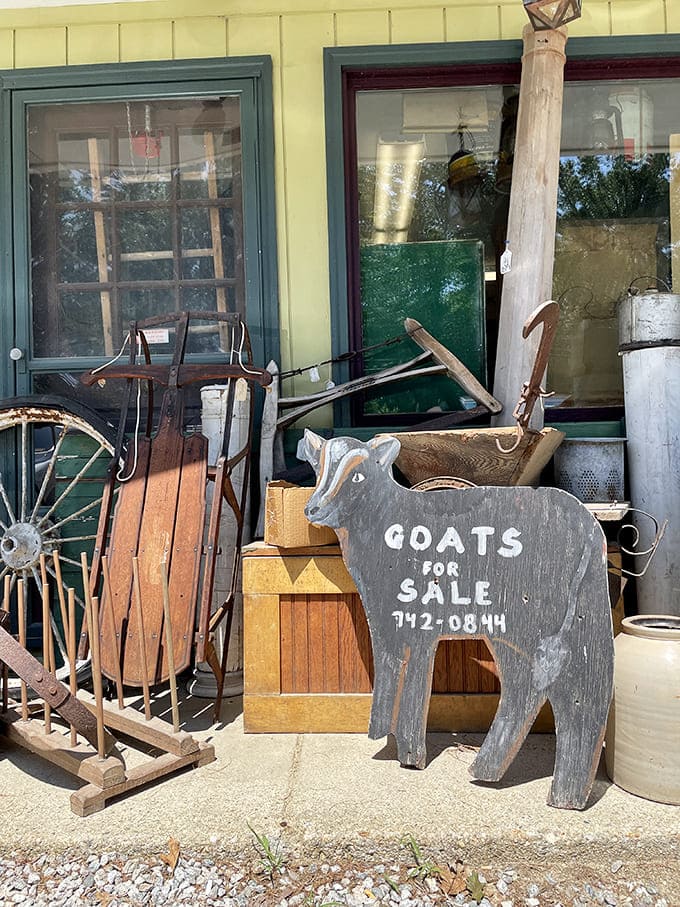 Outside treasures include this wooden goat sign that's both folk art and practical advertisement. Rural New Hampshire in a single image.