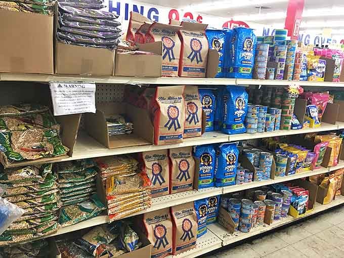 Pet food and pantry staples share shelf space in this democratic display of domestic necessities.