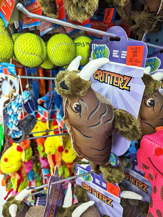 Pet toys that prove your furry friend can live like royalty even when you're shopping on a commoner's budget.