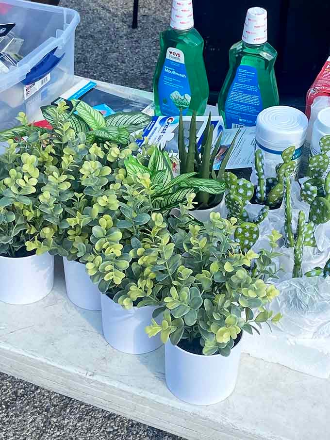 Even fake plants need loving homes. These cheerful artificial succulents offer forever-green thumbs to those who've loved too many real plants to death.