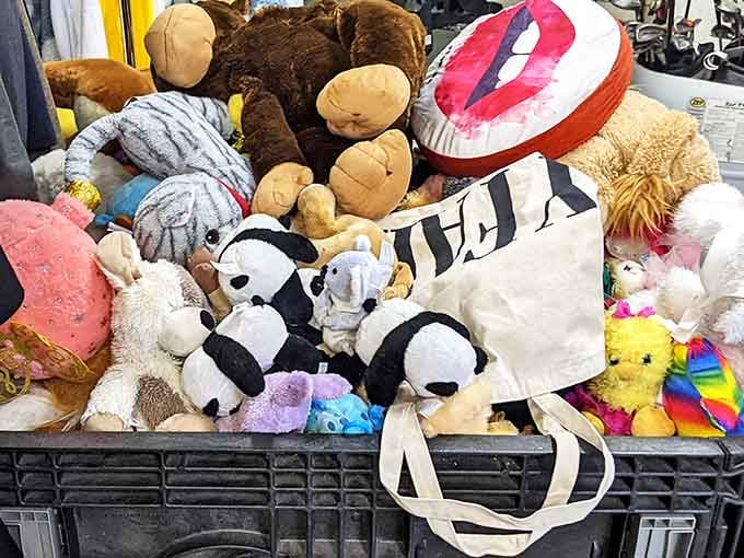 Stuffed animal adoption center in full swing. That panda has seen things, but he's still got plenty of hugs left to give.